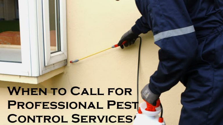 When to Call for Professional Pest Control Services
